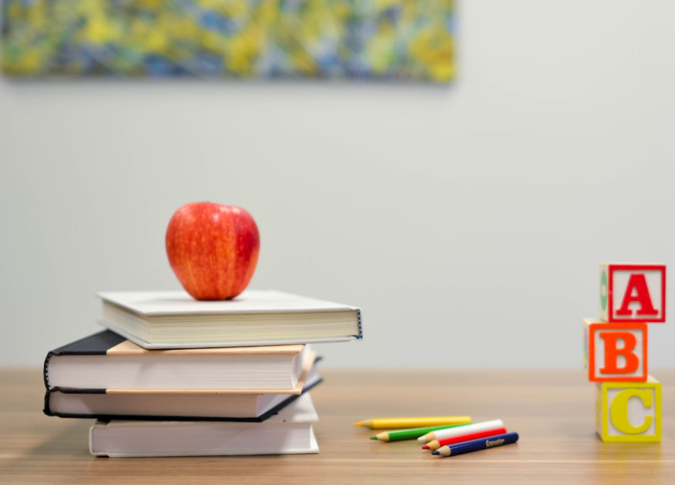 Department of Education and Youth Careers - CareersPortal.ie